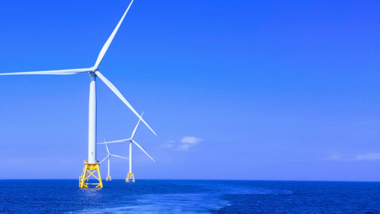 Infographic Launch: Nature Inclusive Design Options for Offshore Wind ...