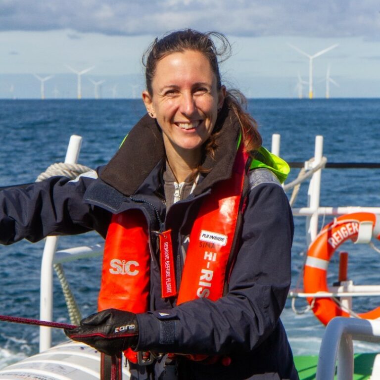 Enhancing marine life around the subsea electricity grids in the Dutch ...