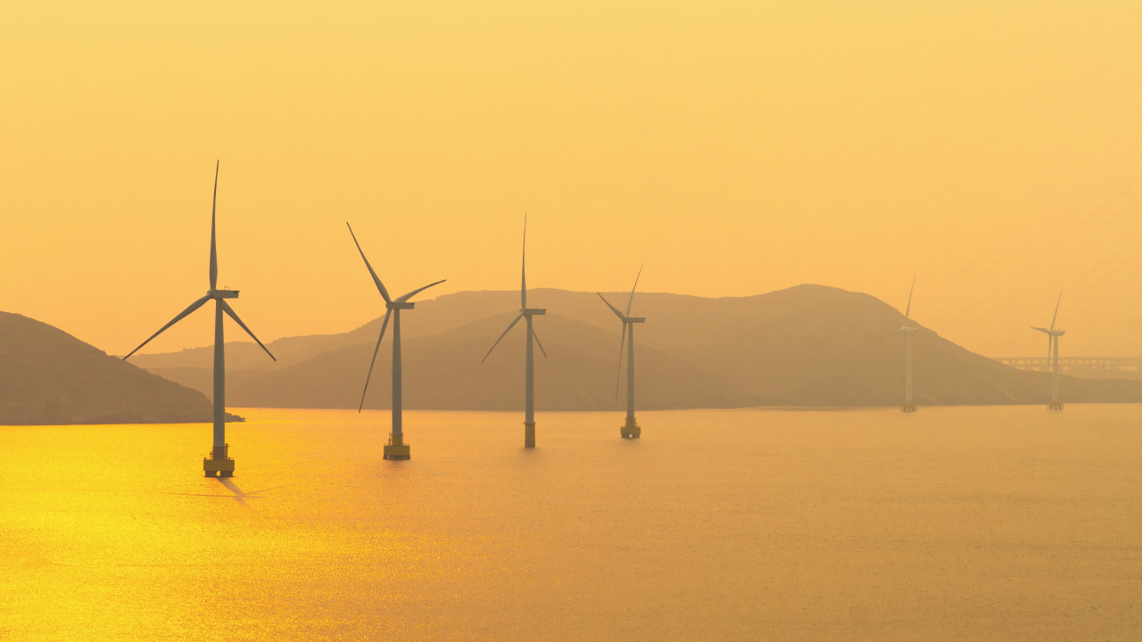 Med OCEaN welcomes eco-union as a new Member - OCEaN