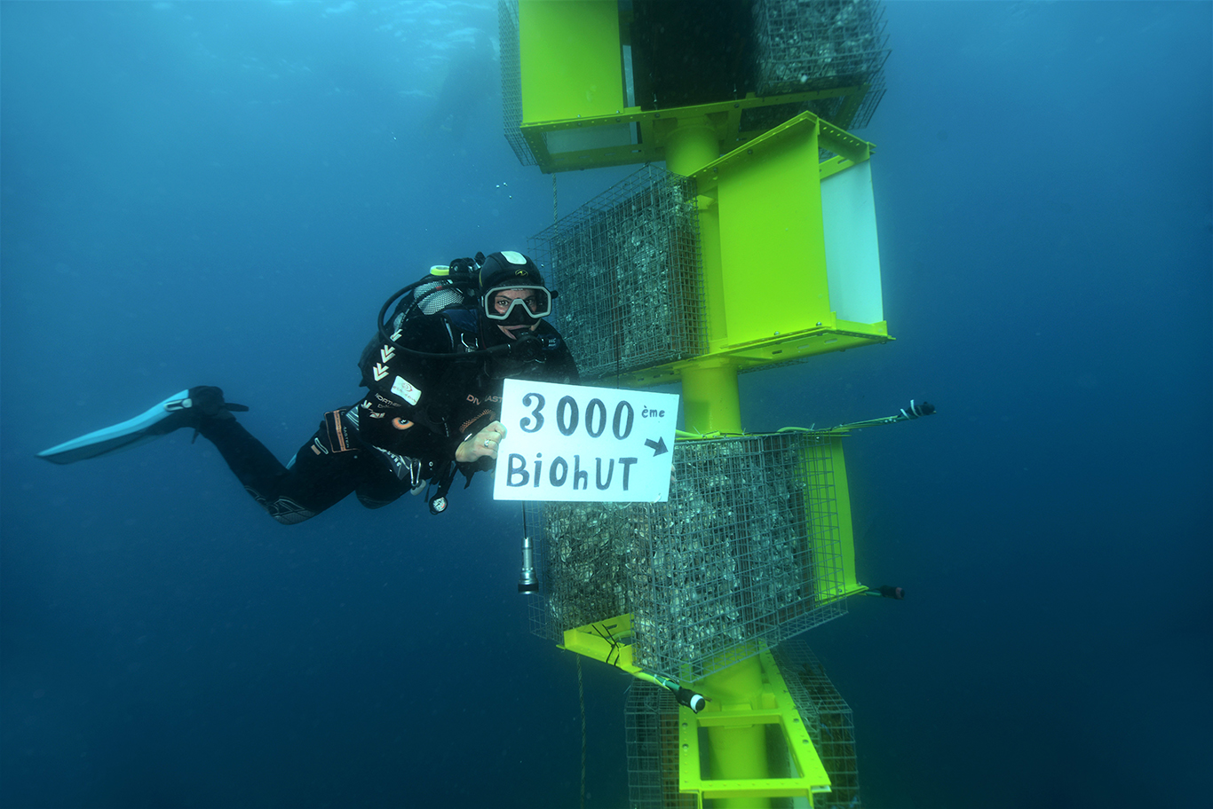 Biohuts attached to Biodiversity Observation Buoy (BoB) - OCEaN