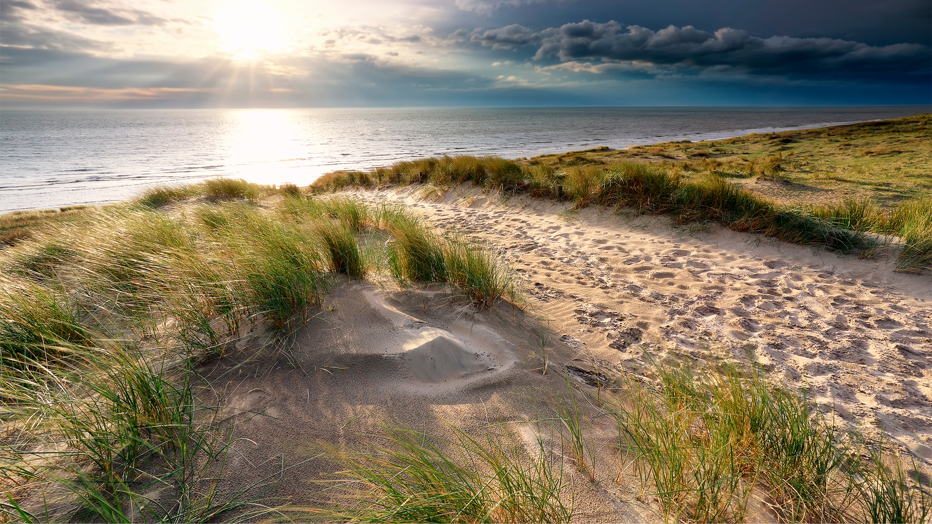 North Sea Summit: Moving towards a shared vision for offshore wind ...